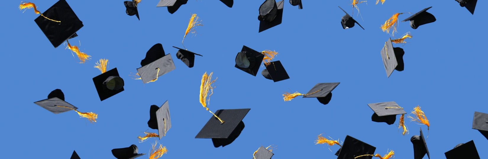 Lost your diploma or grade list? - Vrije Universiteit Amsterdam